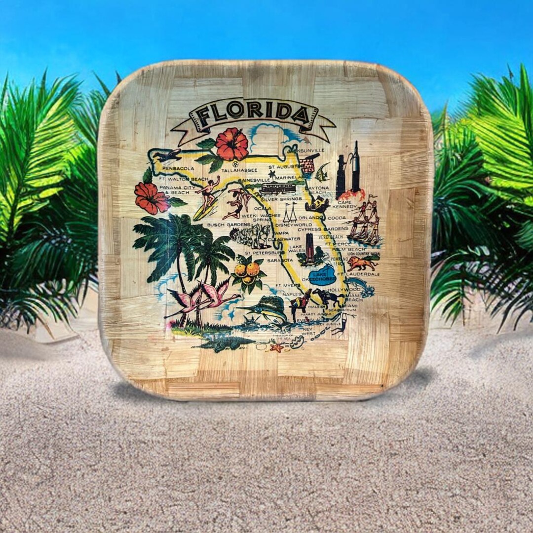 Florida State Souvenir Bamboo Bowl Basket,11" Square,decorative ...