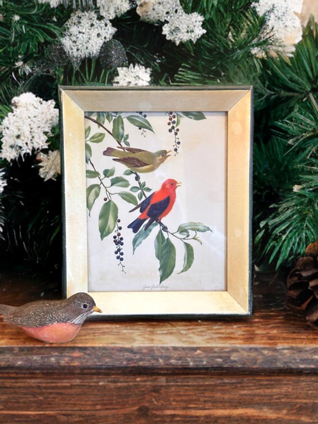 James Gordon Irving Framed Bird Print,scarlet Tangers,audubon Print ...