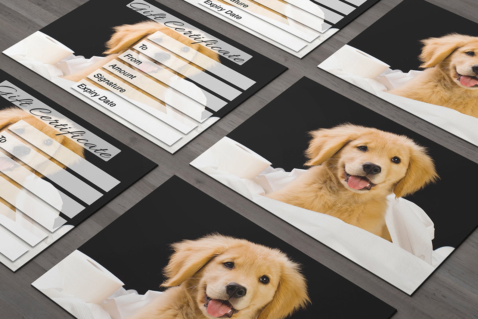 Blank Gift Voucher Cards for Vet Pet Cosmetics Veterinarian Pet Hotel ...