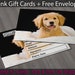 Blank Gift Voucher Cards for Vet Pet Cosmetics Veterinarian - Etsy