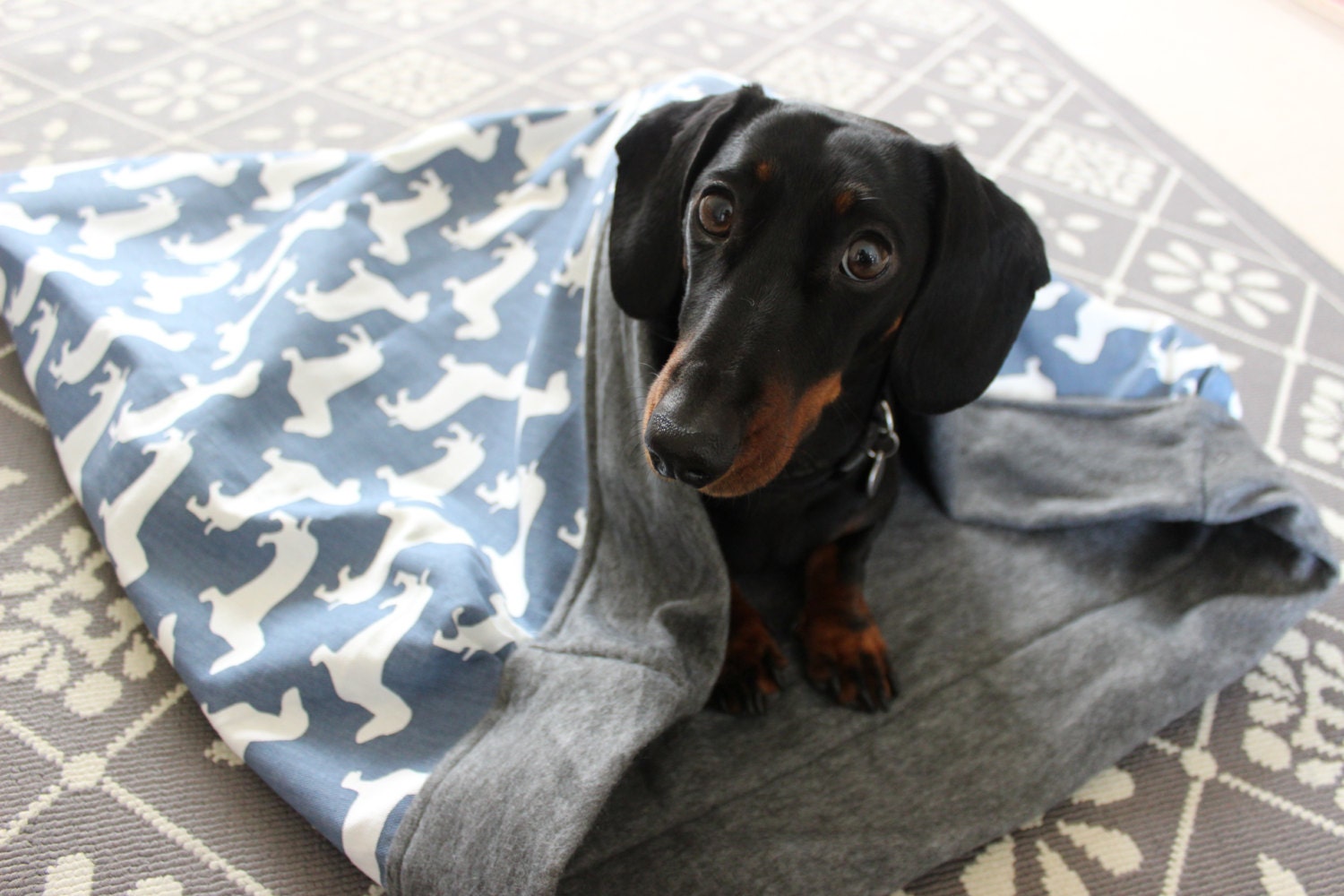 Dachshund Cotton Snuggle Sack Dog Bed Dog Blanket Etsy Dachshund Cotton Snuggle Sack Dog Bed Dog Blanket Etsy
