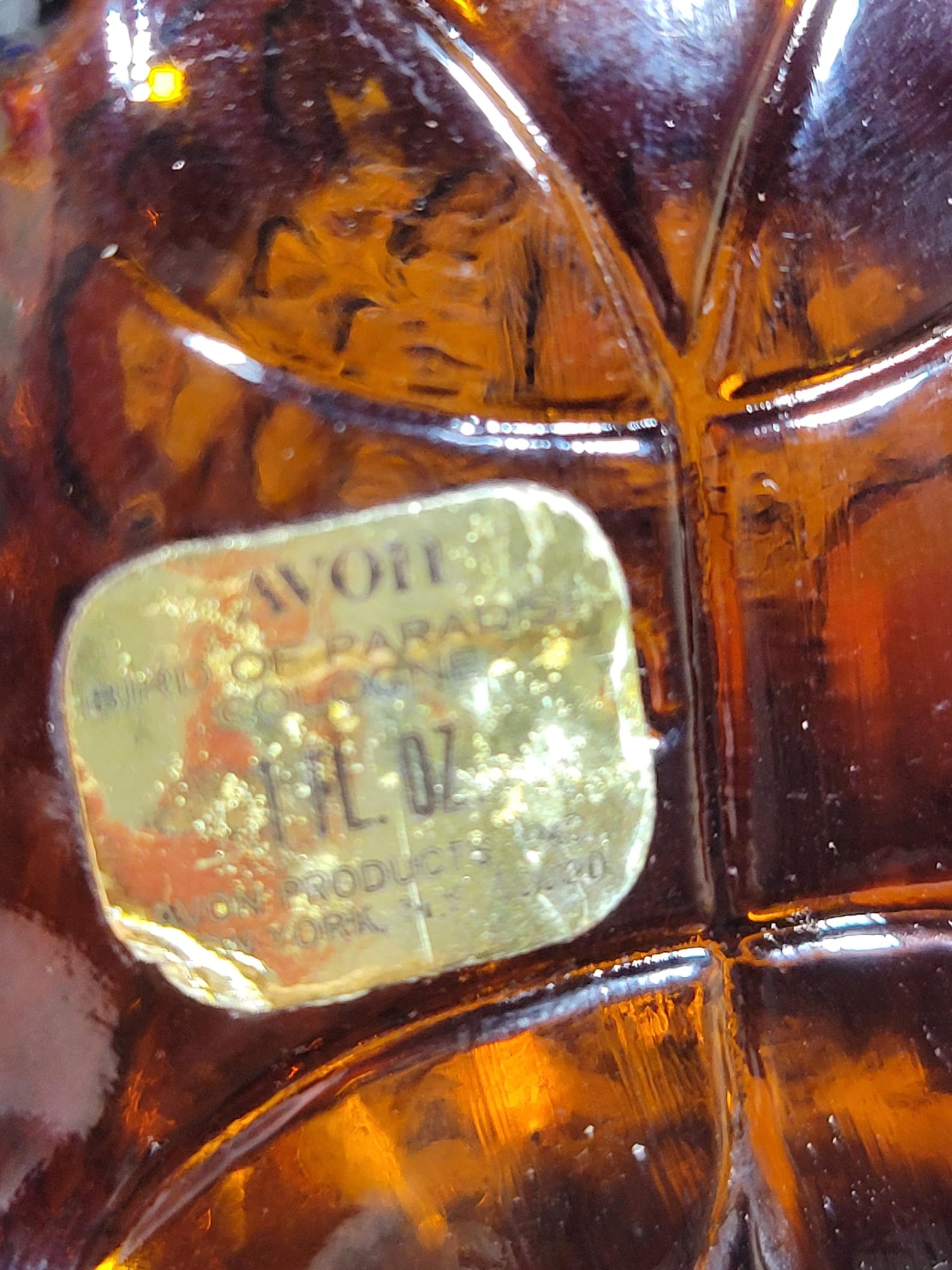 Vintage Avon Turtle EMPTY Cologne Bottle 1 Oz - Etsy
