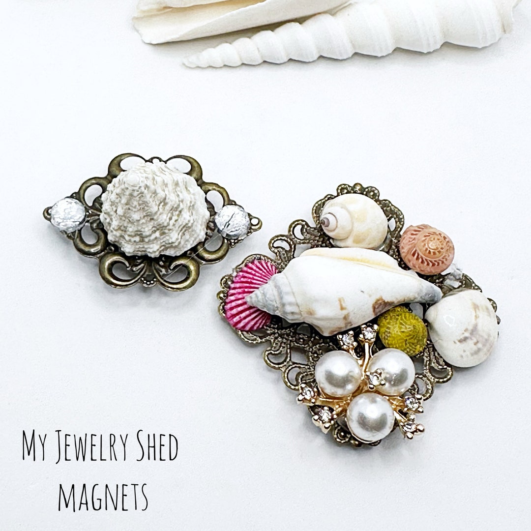 Seashell Refrigerator Magnet, Real Shell Magnets, Embellished Fridge ...