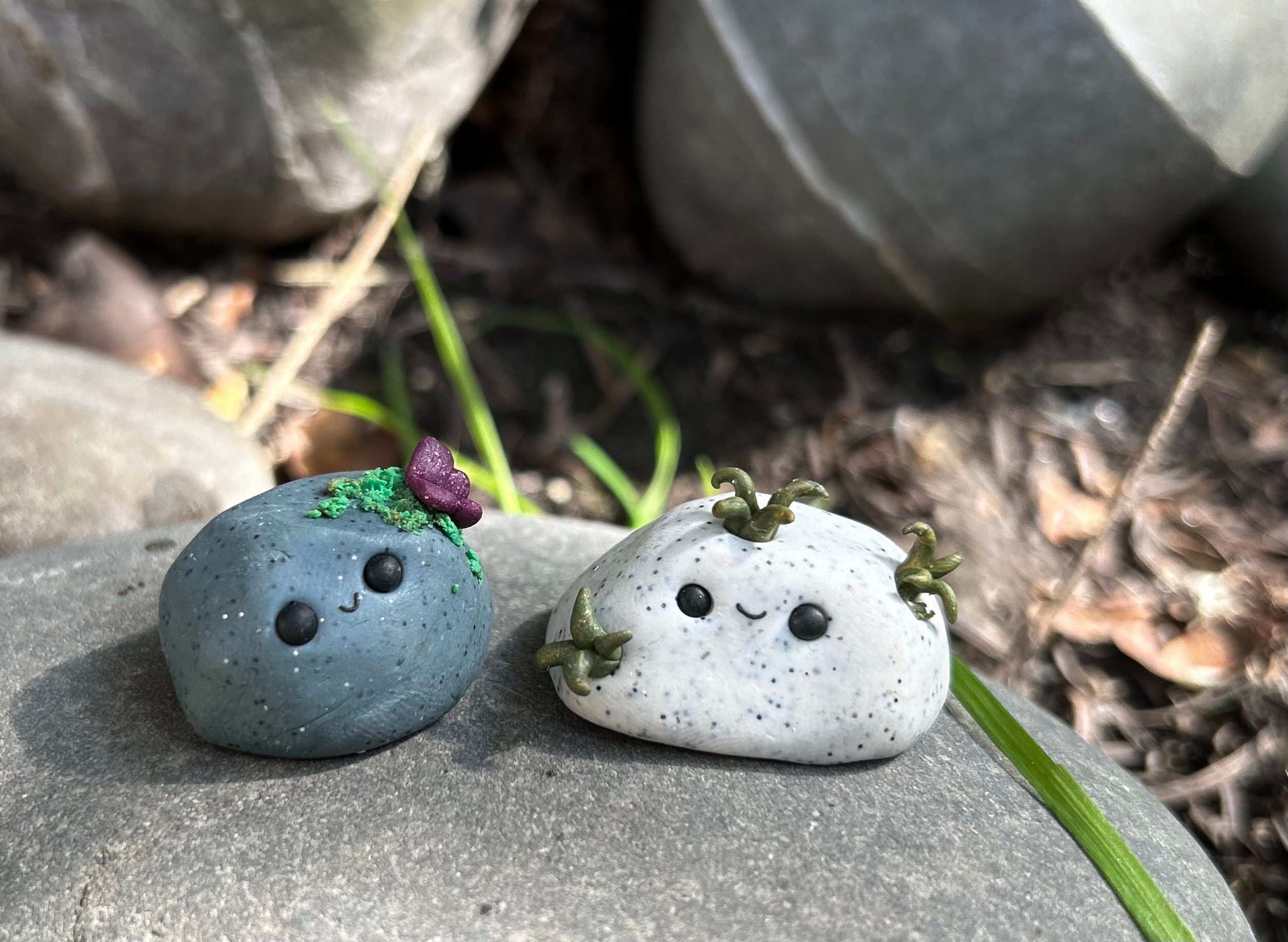 Adopt a Little Rock Cute Clay Hollow Rock With Bug ' - Etsy