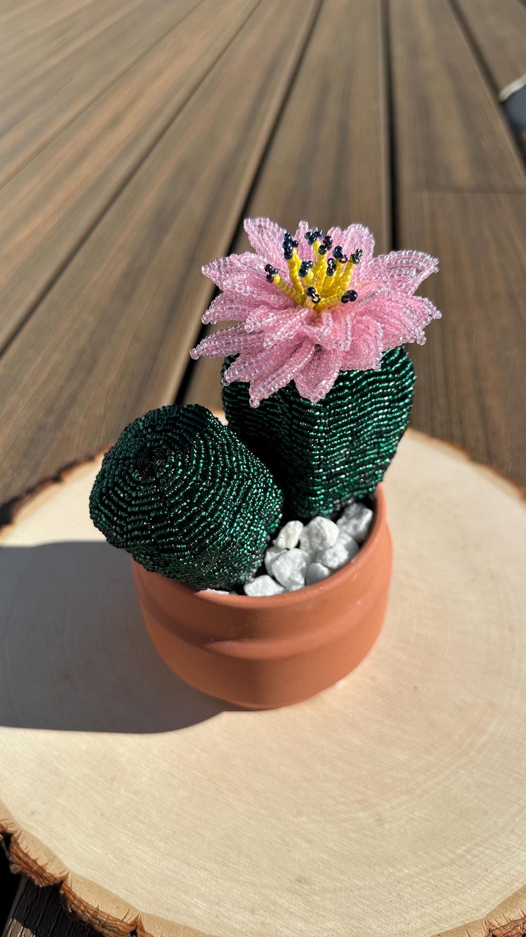 Beaded Cactus in Terracotta Pot. - Etsy