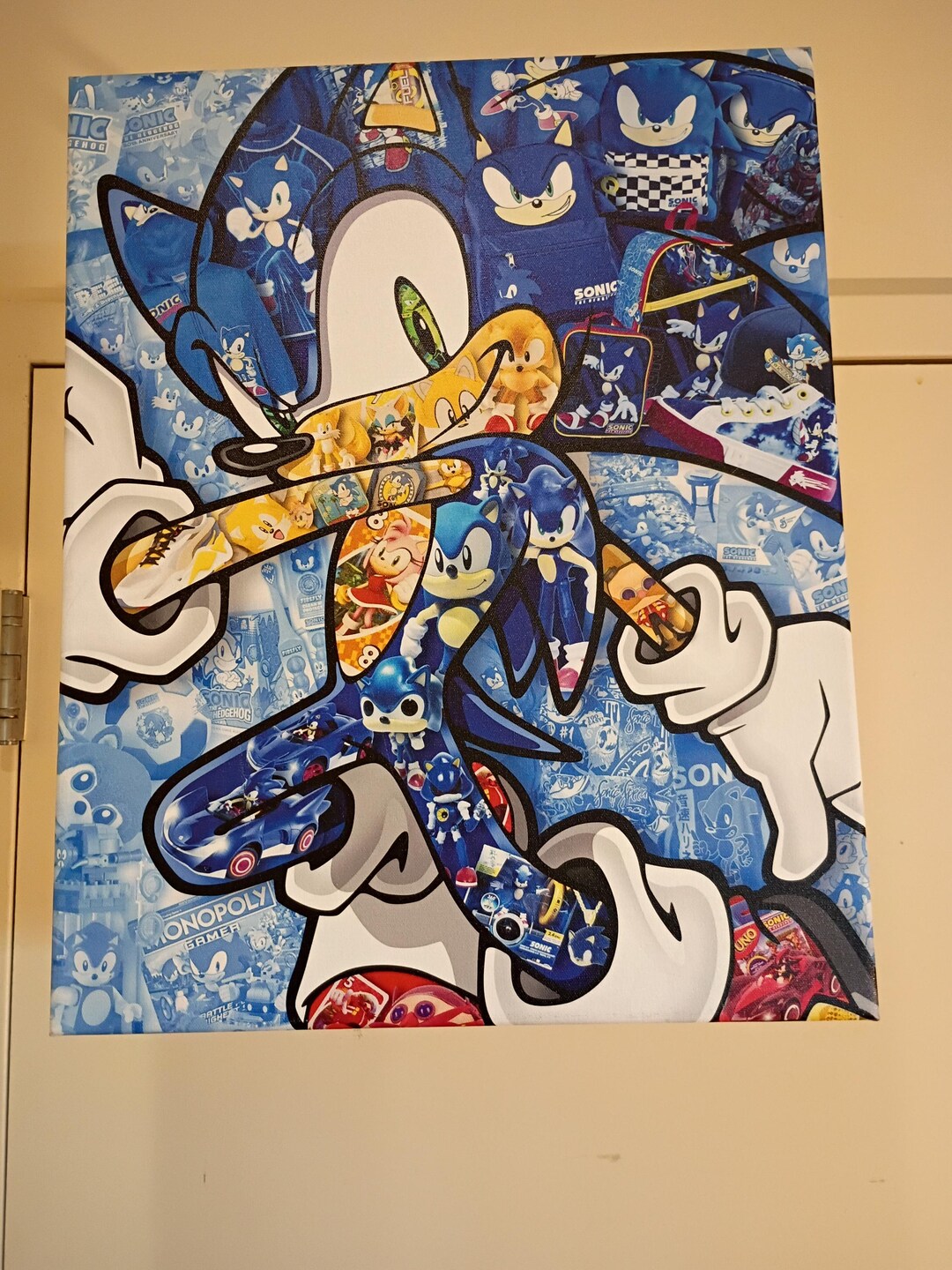 Sonic the Hedgehog Canvas Art, All Over Print (16x20) - Etsy