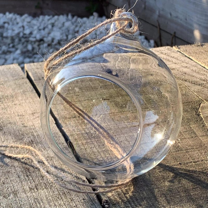 Glass Sphere Vase - Etsy