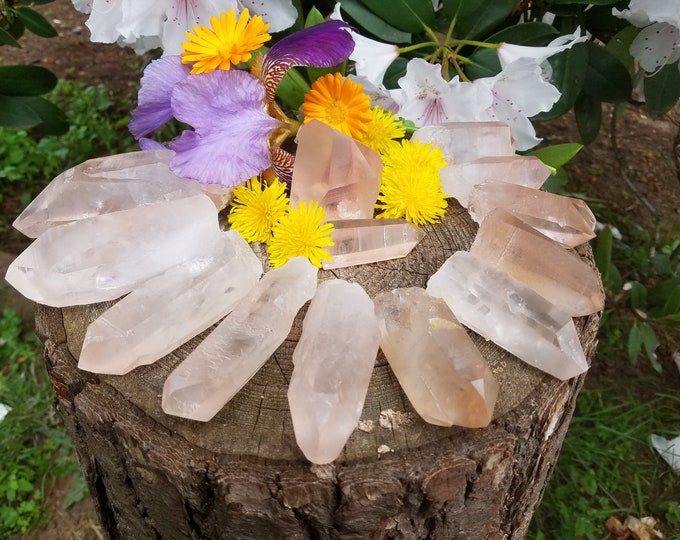 Rare Dusty Rose Lemurian Seed Crystals // Astral Travels, Awakening ...