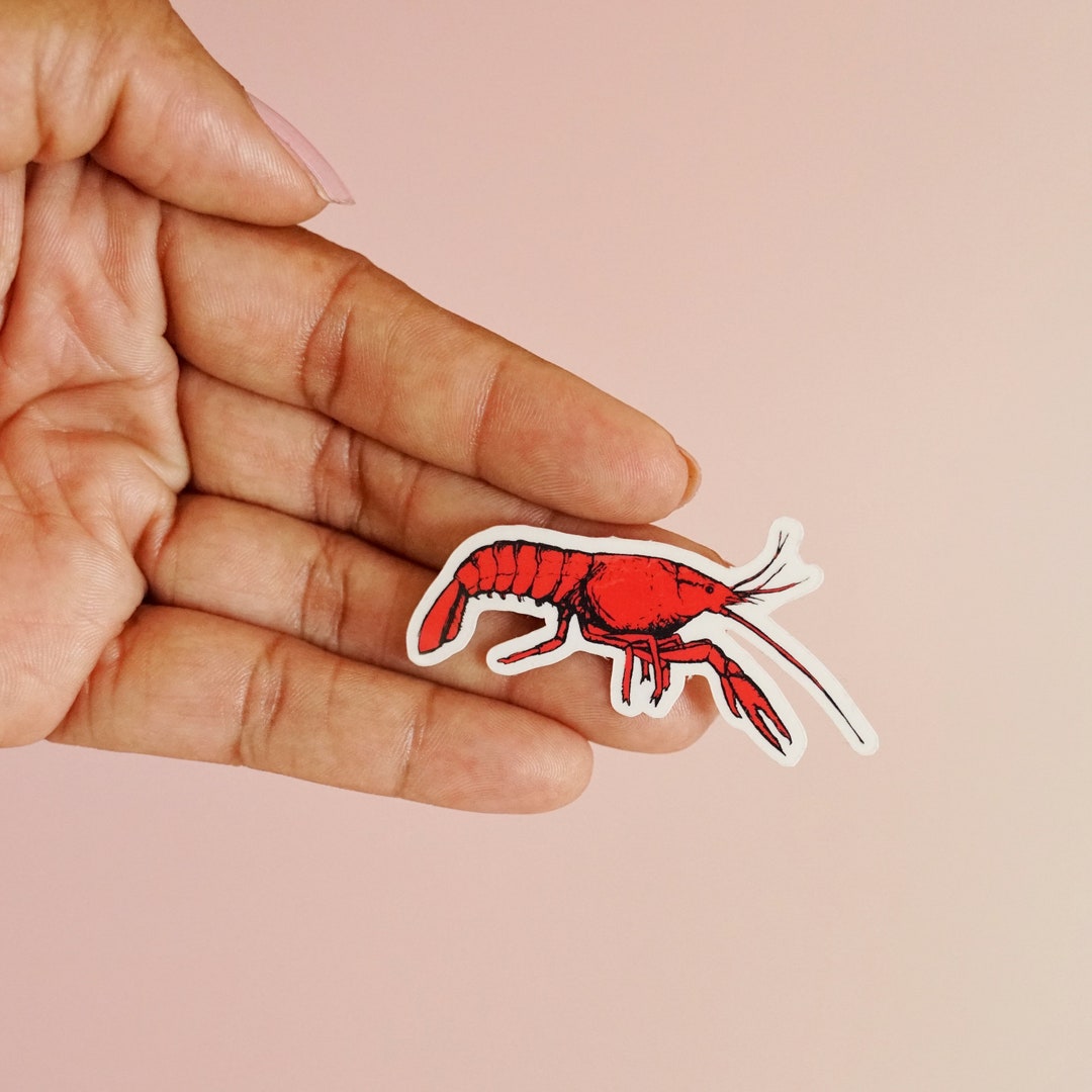 Crawfish Sticker Decal Laptop / Hydroflask/ Waterbottle / Phone / Case ...