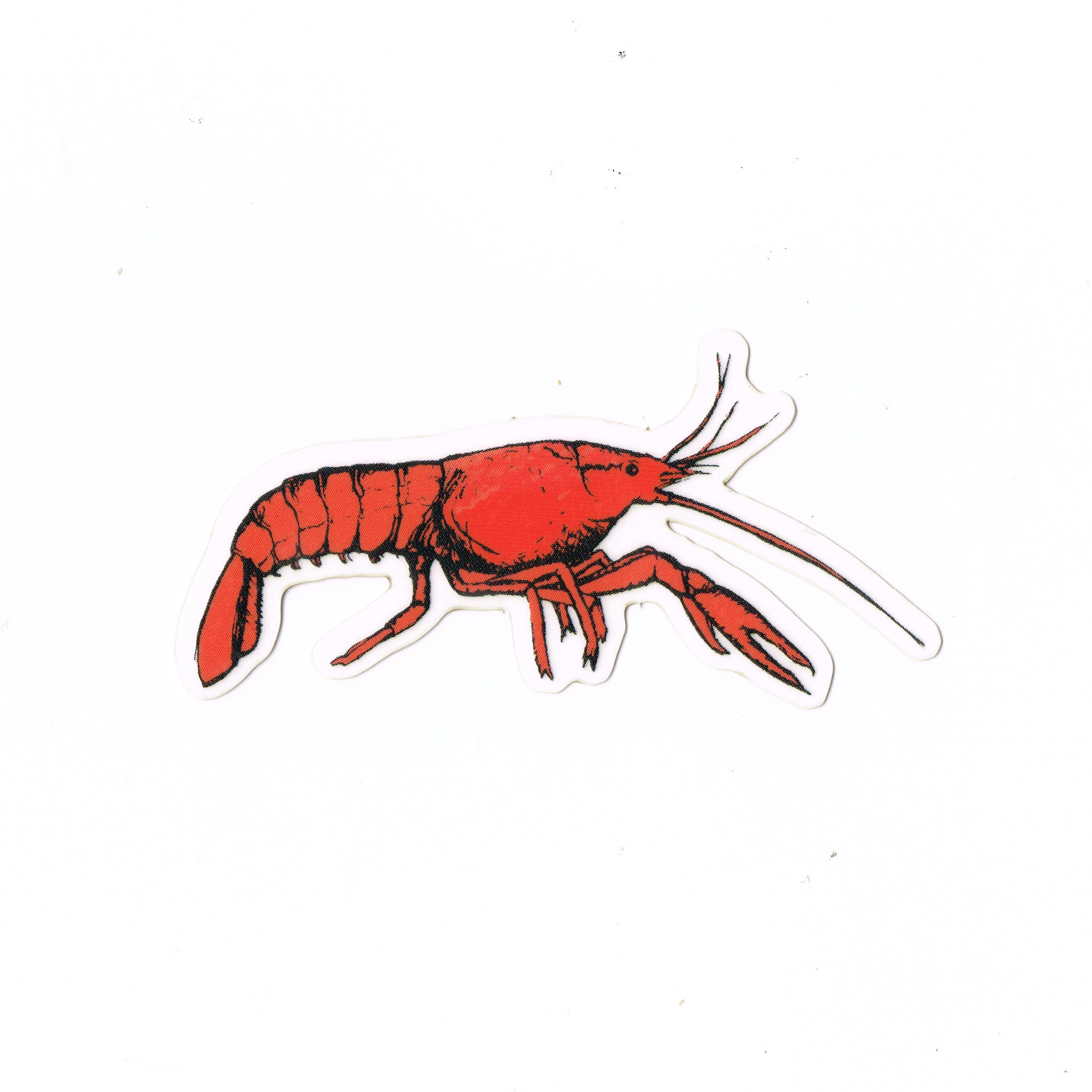 Crawfish Sticker Decal Laptop / Hydroflask/ Waterbottle / | Etsy