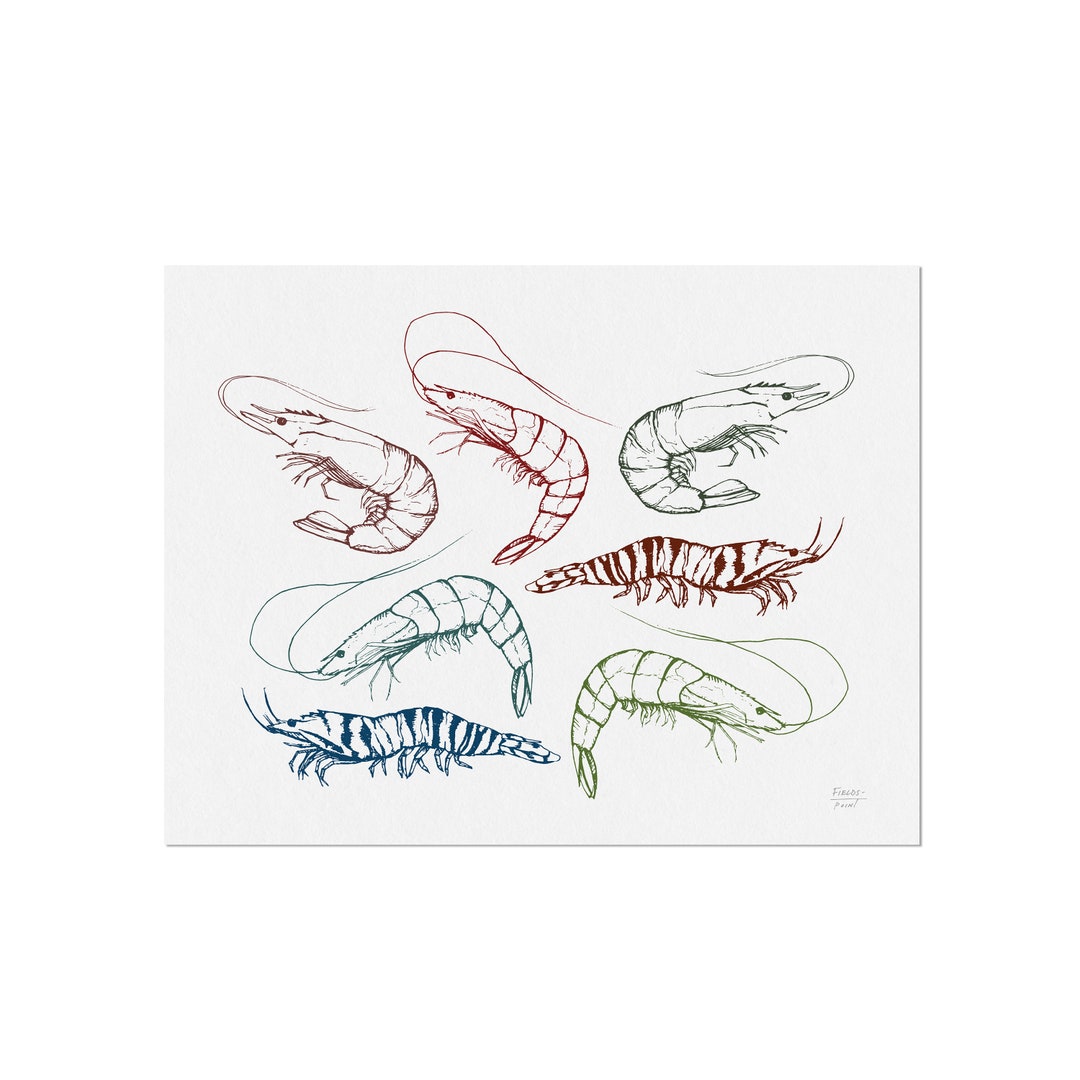 Coastal Shrimp Art Print, Wall Art, Home Decor, Beach Decor, Beach Art ...