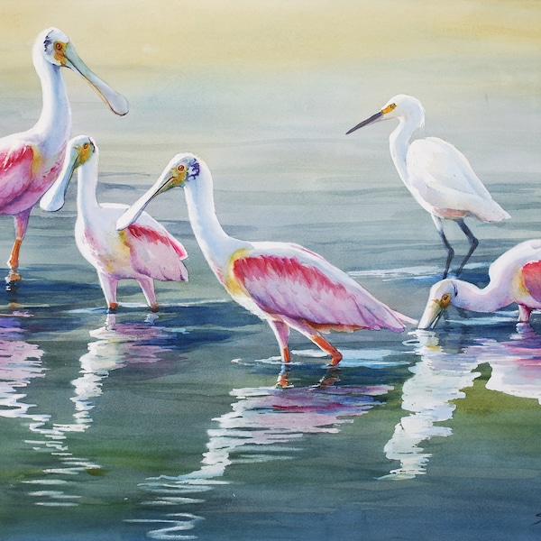 Spoonbill - Etsy