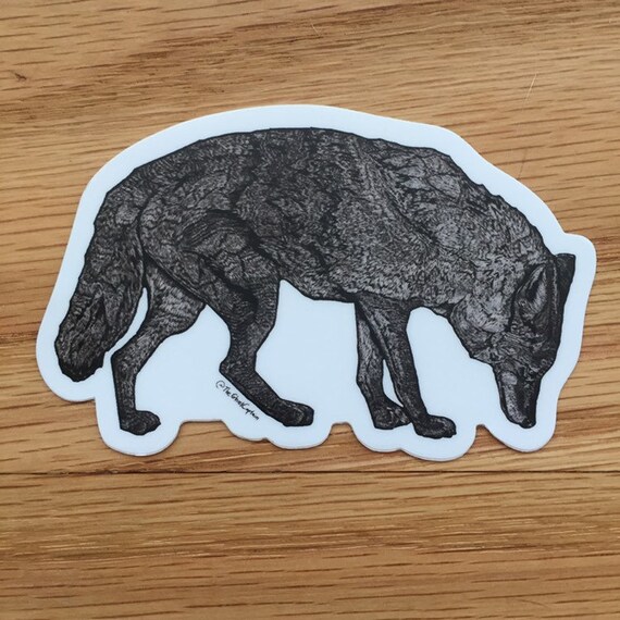 Coyote Vinyl Sticker - Etsy