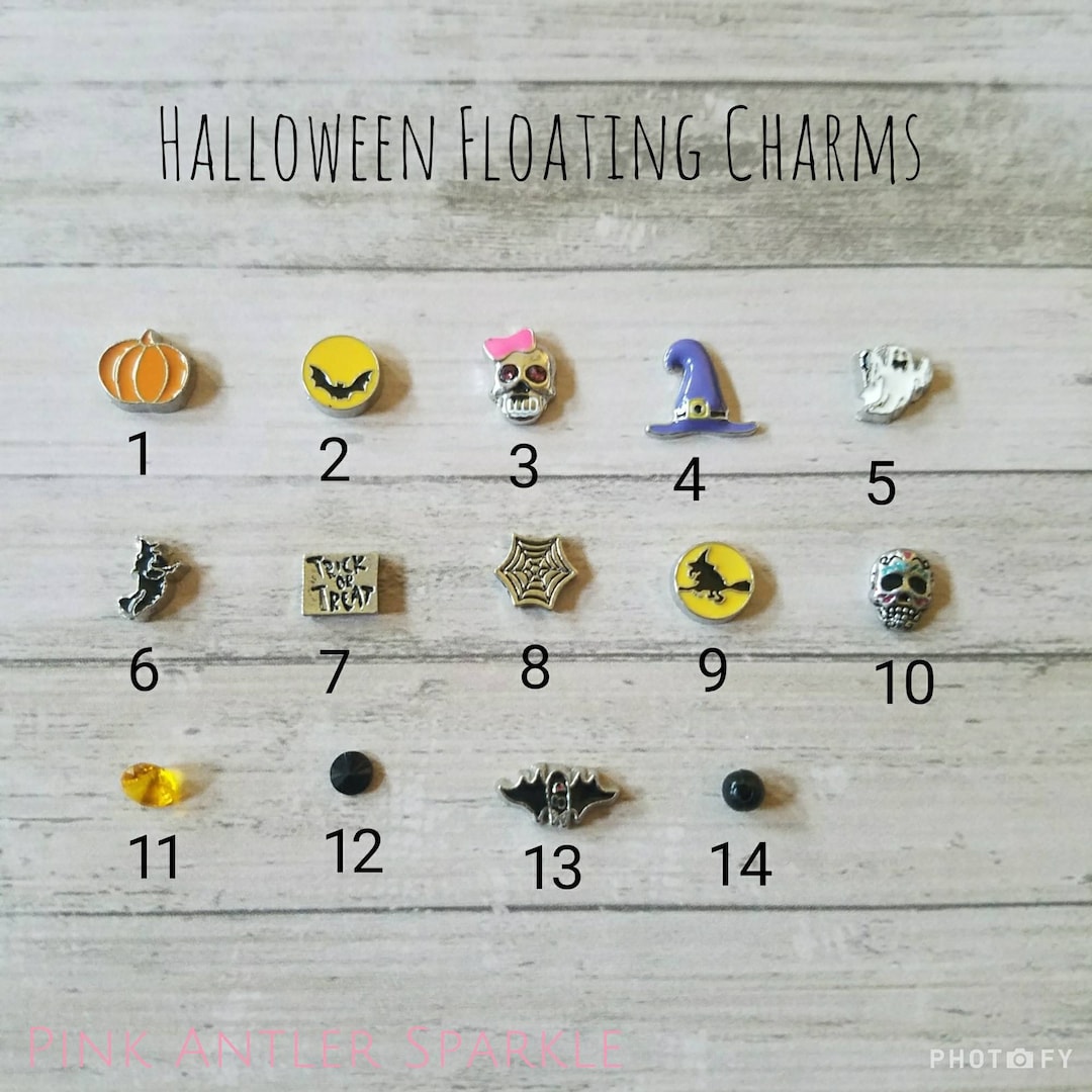 Halloween Charms / Floating Charms / DIY Locket / Witch / Skull ...