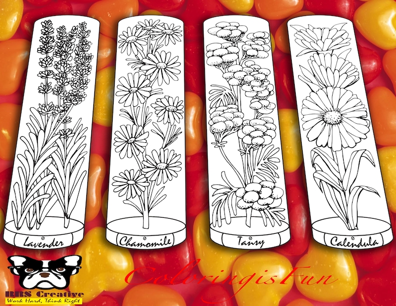 DIY Coloring Bookmarks Wild Flowers & Herbs Doodles Intricate Designs ...