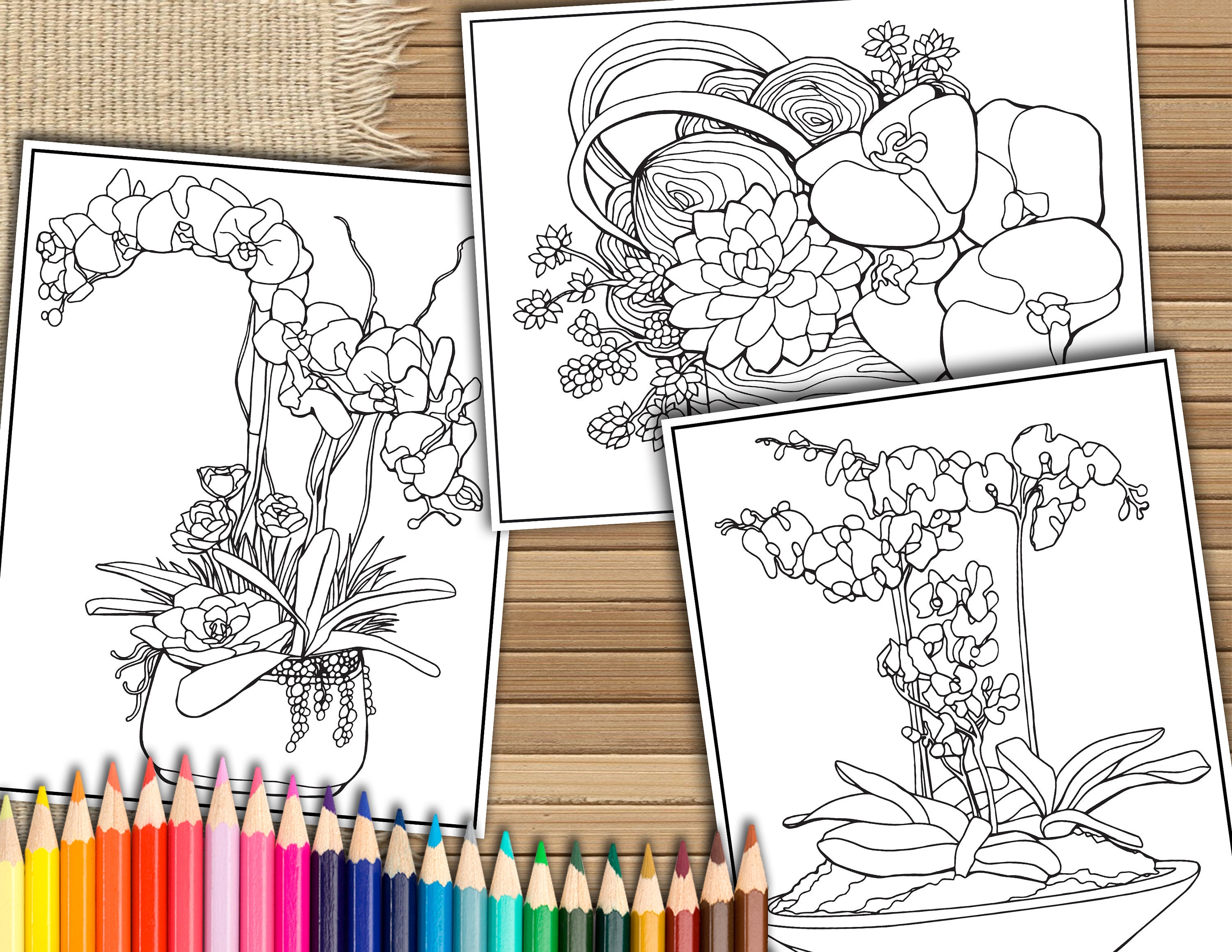 Orchids Flower Coloring Page High Quality Printable Materials - Etsy