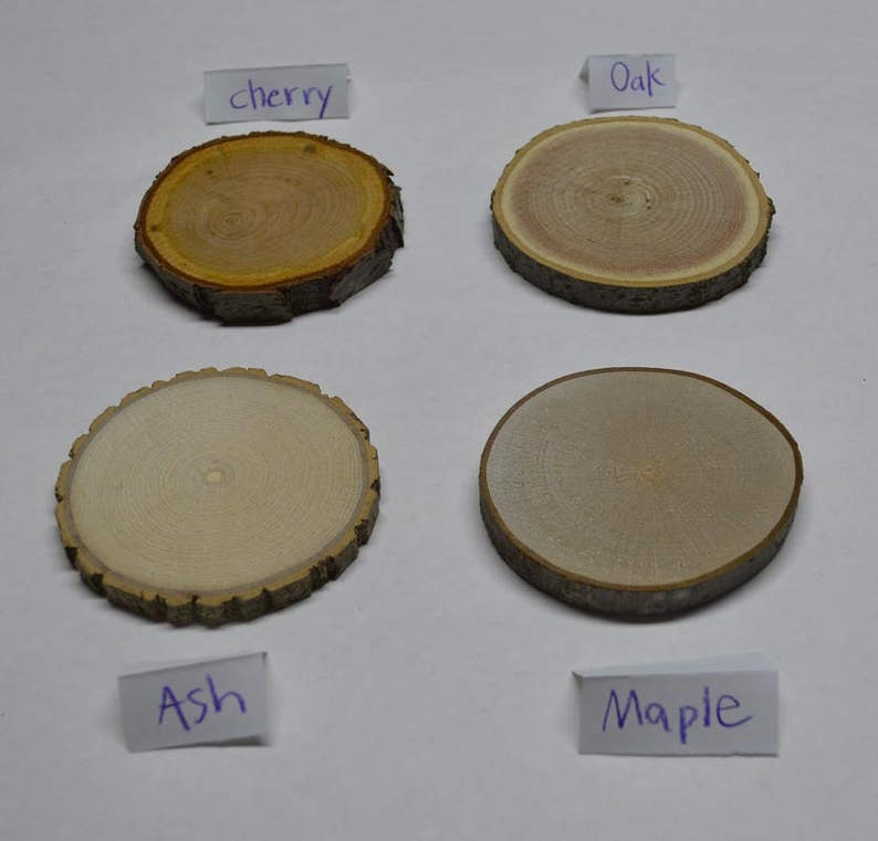 10 Wooden Disc Rounds Approx. 3 Inch Wood Slices Natural - Etsy