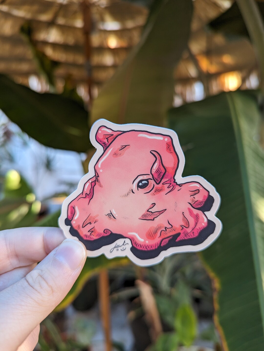 Dumbo Octopus Sticker! - Etsy