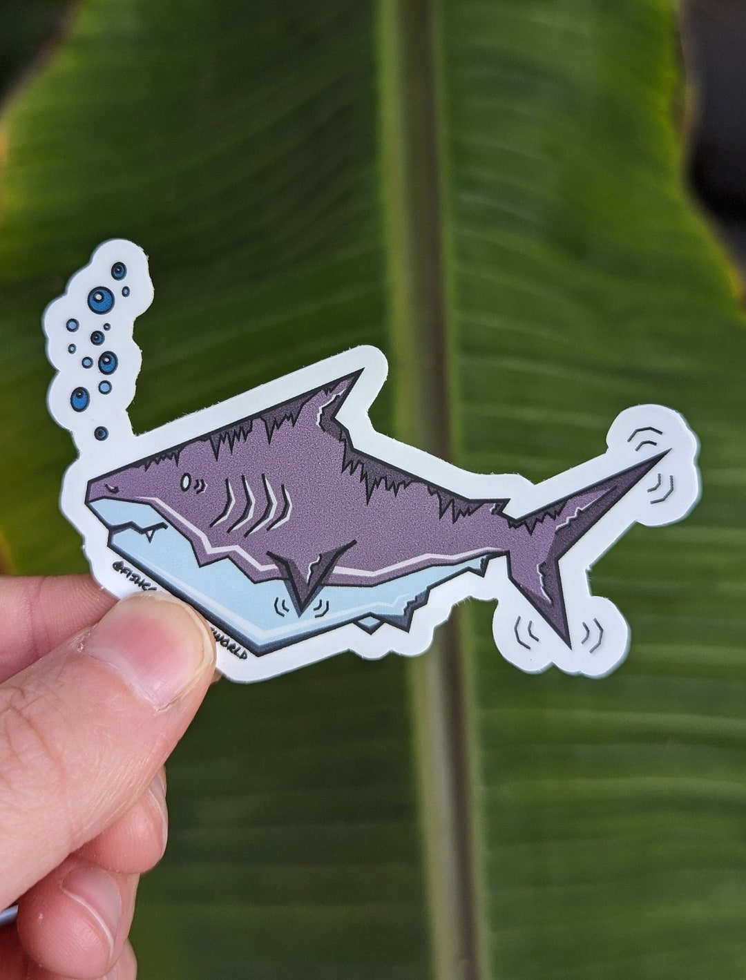 Tiger Shark Sticker - Etsy