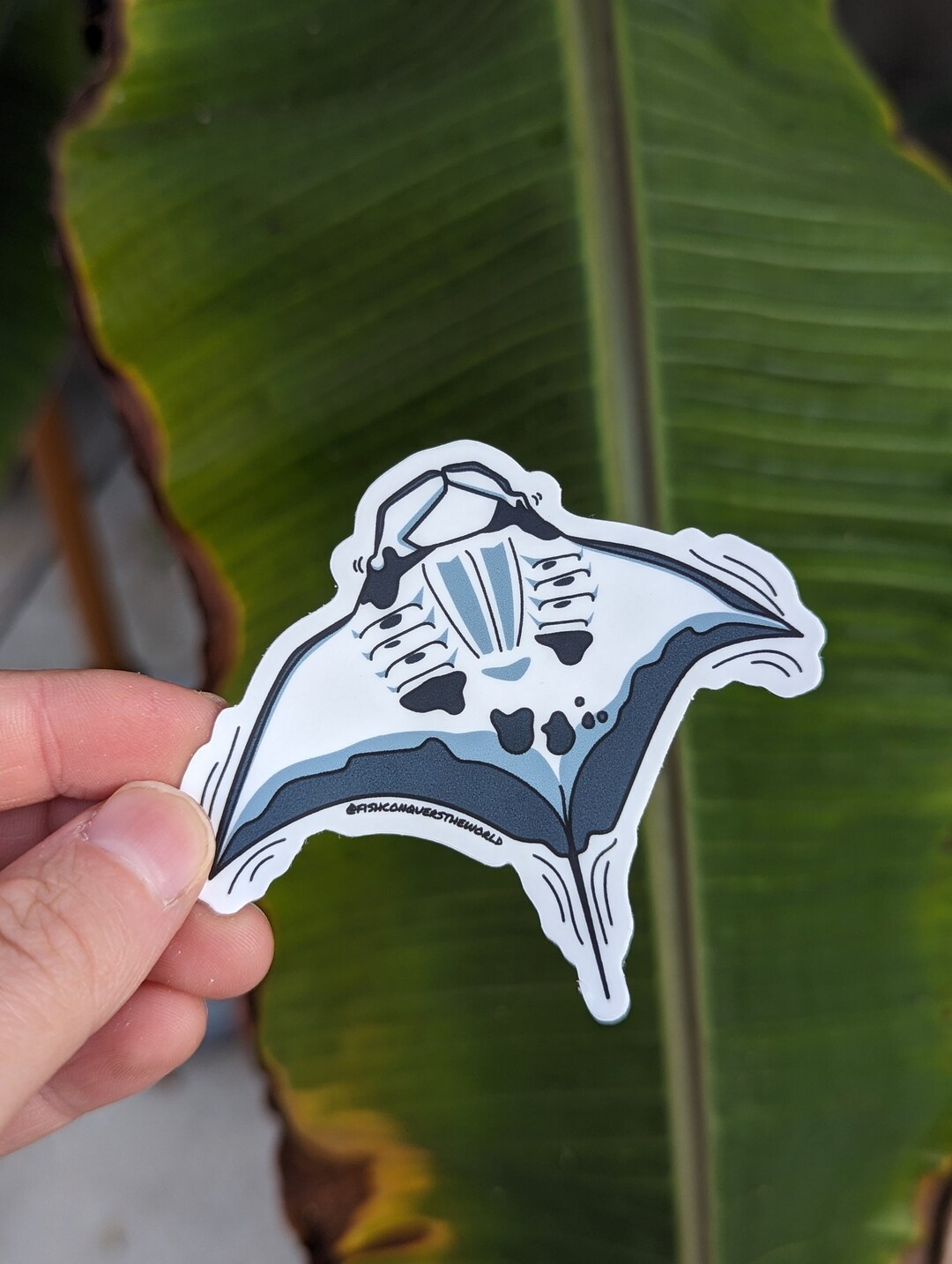 Manta Ray Sticker - Etsy