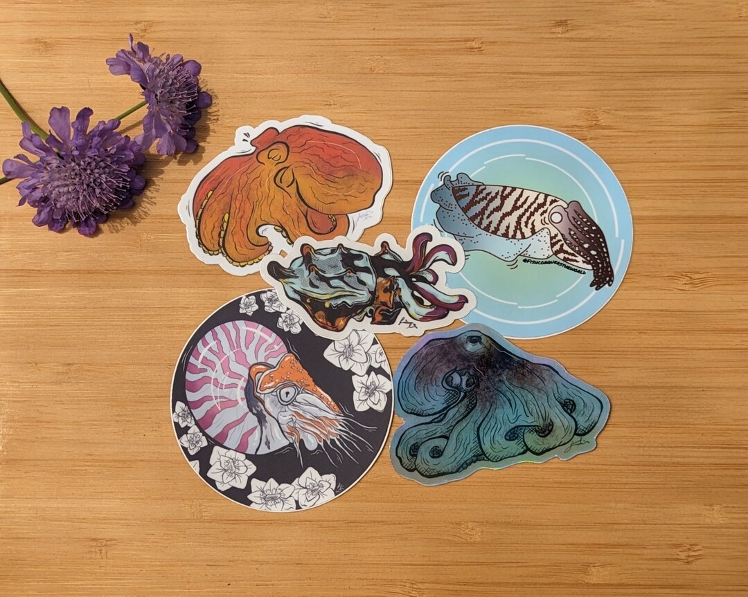 Cephalopod Sticker Pack - Etsy