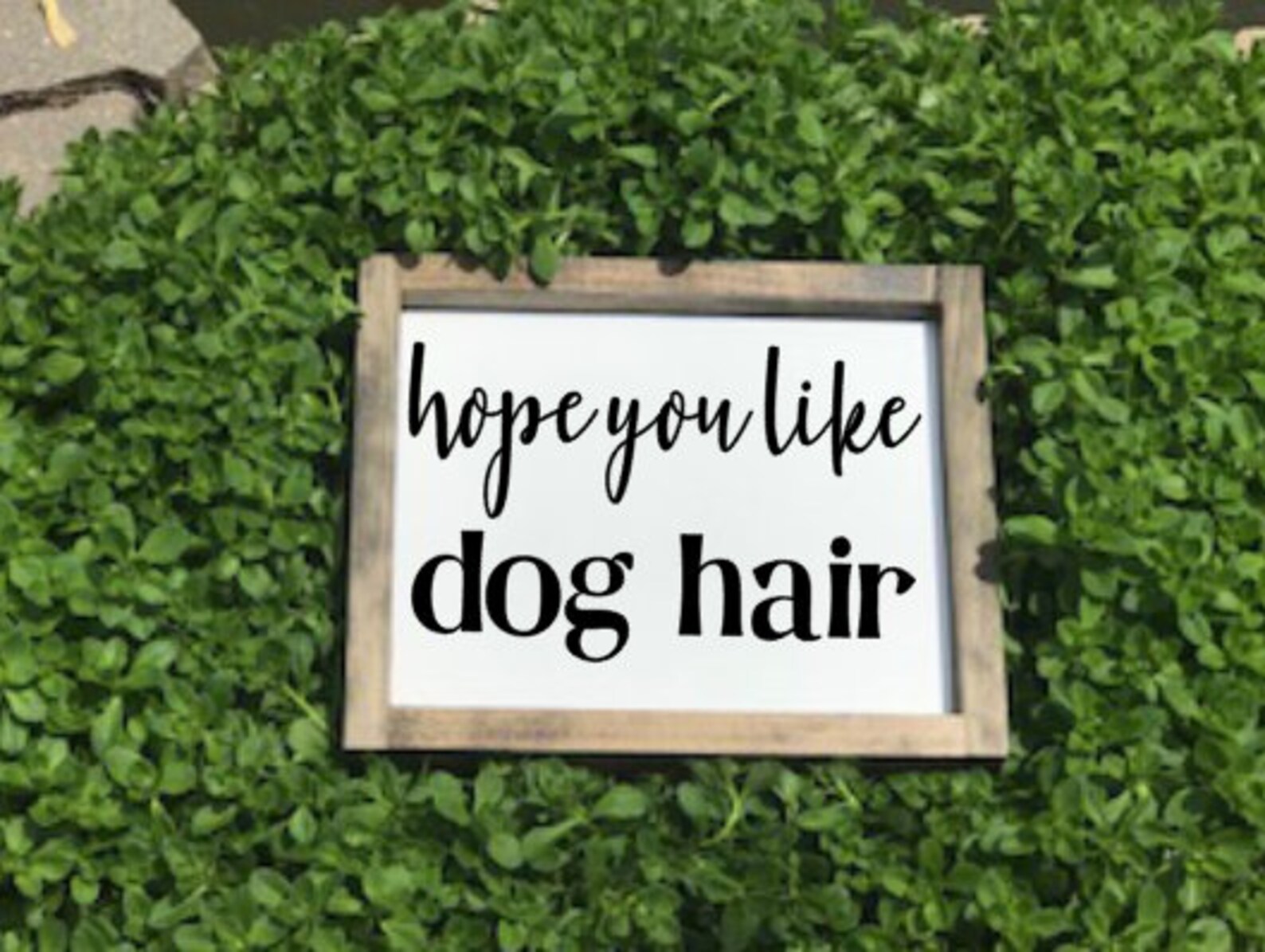 Dog Sign Dog Hair Sign Dog Hair Pet Sign Pet Decor Dog - Etsy