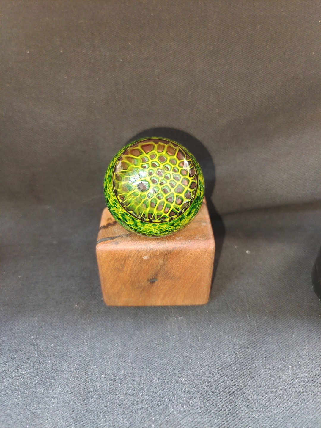 Alien Hive #2 Handmade Borosilicate Glass Marble.dr Sawfish 2023 - Etsy