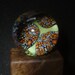 Exploding Butterfly Eggs Handmade Borosilicate Glass Marble.dr Sawfish ...