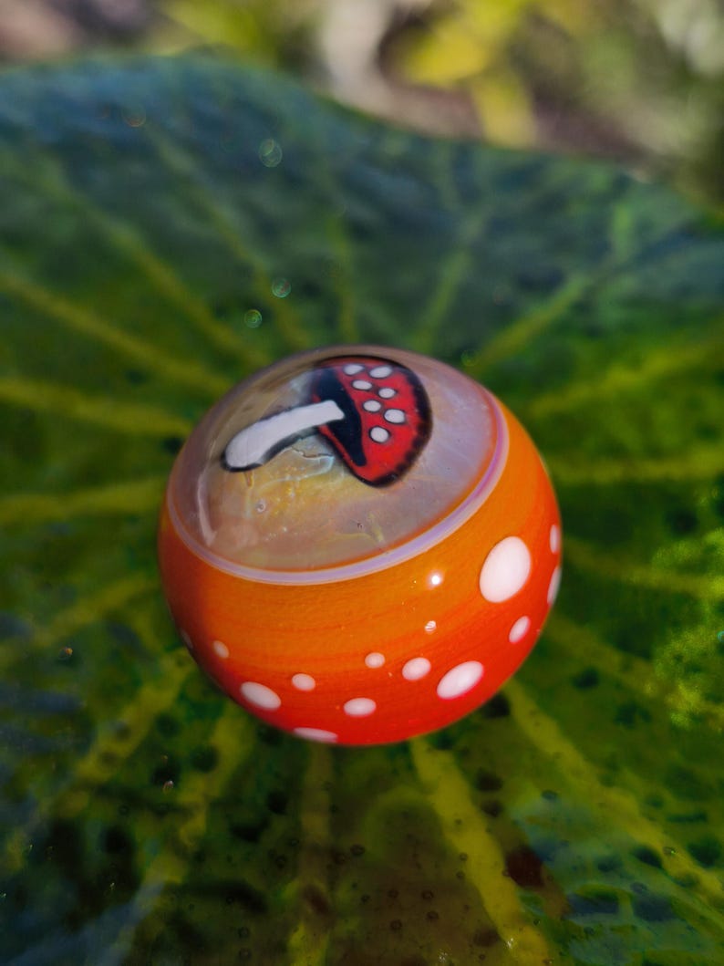 Amanita Magic Mushroom Handmade Borosilicate Glass Marble.dr Sawfish ...