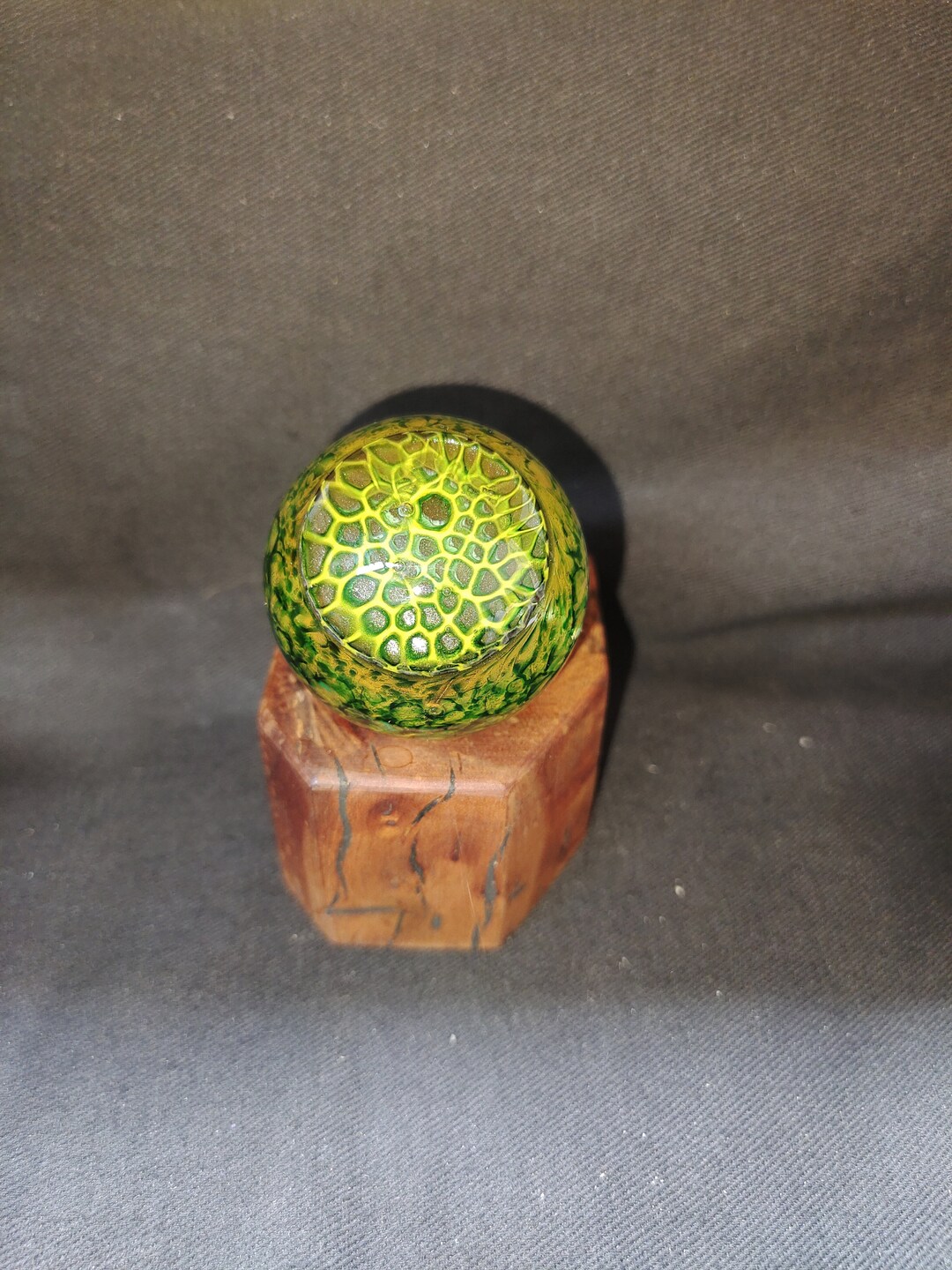 Alien Hive Handmade Borosilicate Glass Marble.dr Sawfish 2023 - Etsy