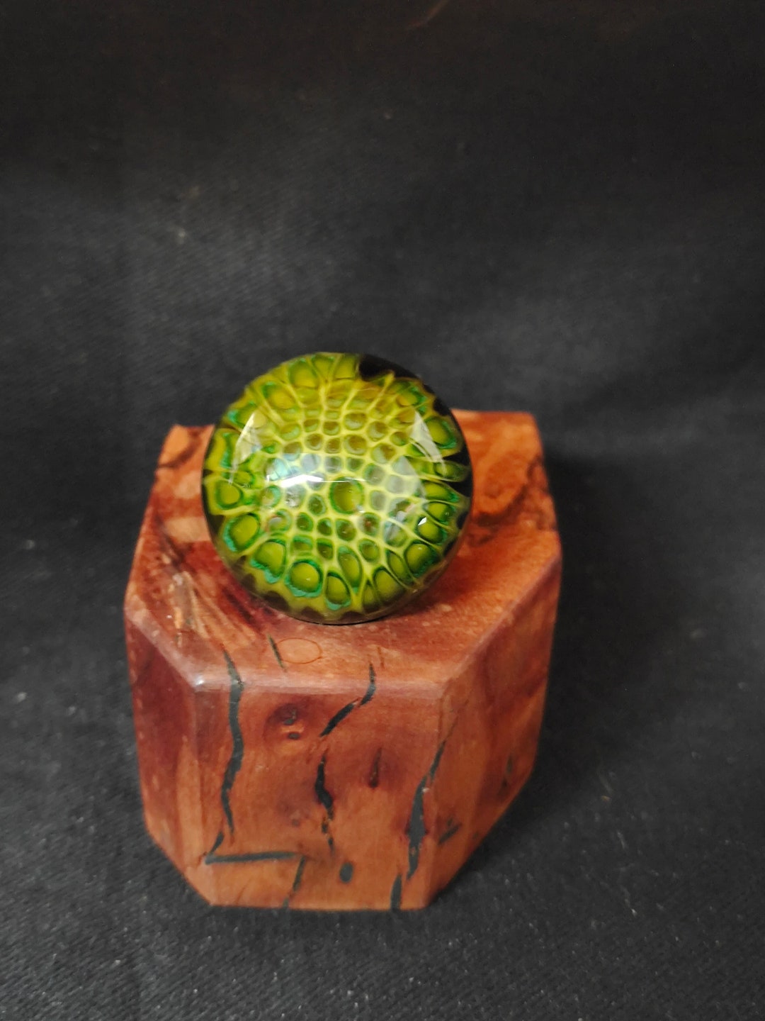 Alien Egg Handmade Borosilicate Glass Marble.dr Sawfish 2026 - Etsy