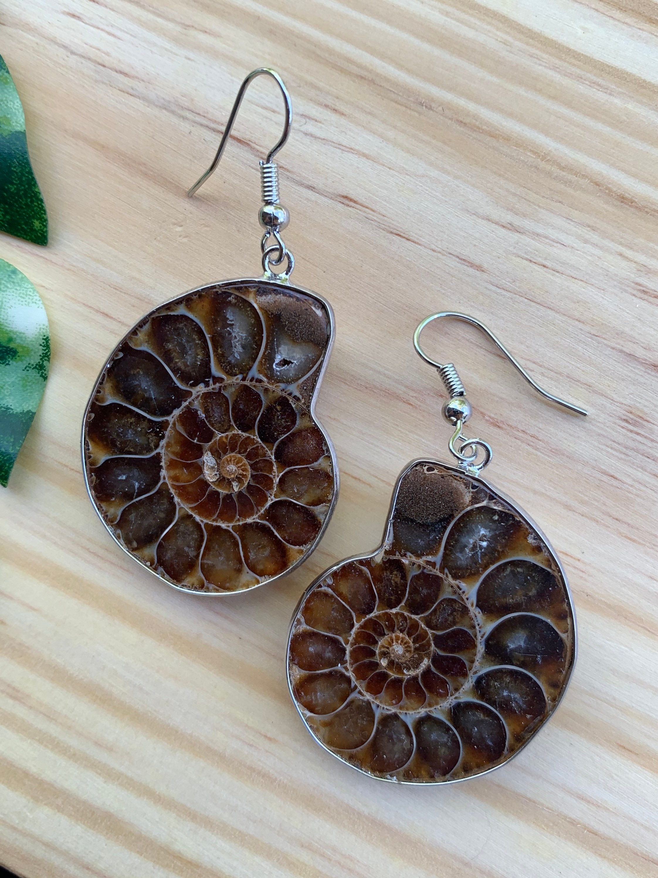 Large Ammonite Fossil Earrings