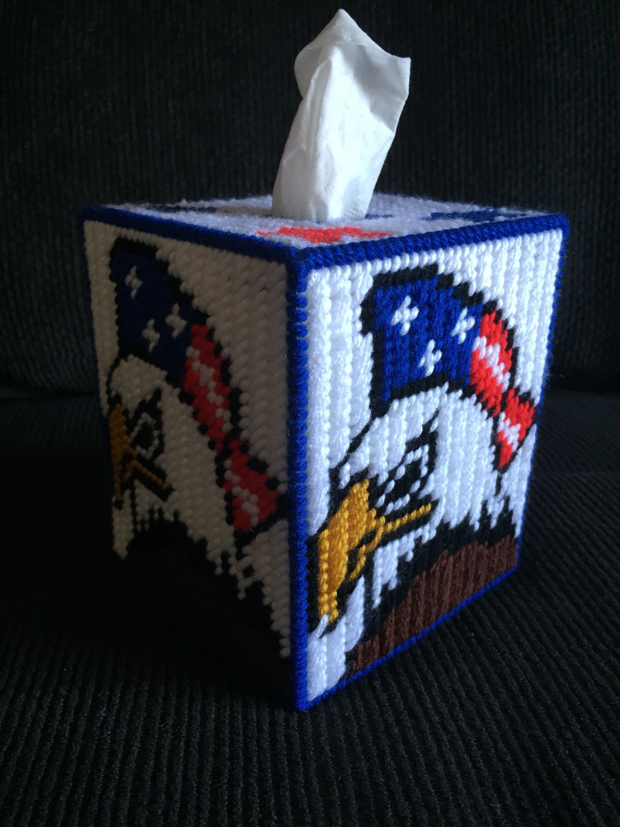 Patriotic American Eagle Plastic Canvas Tissue Box Cover TBC - Etsy