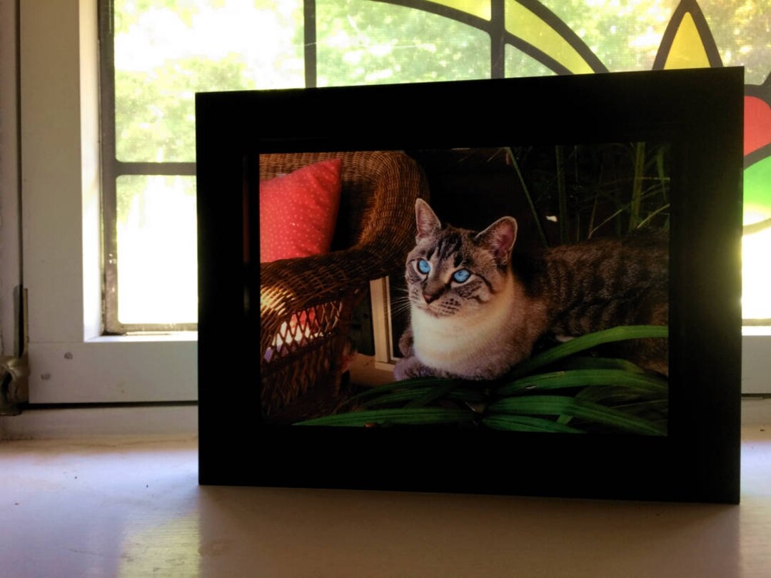 Your Life! Window Frames! Send Your Favorite Photos to Create Lovely ...