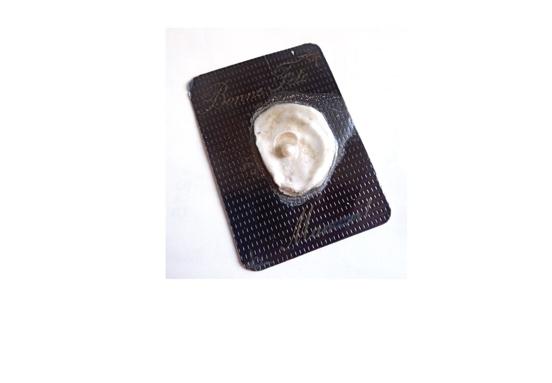 PIF GADGET; the Rare Pearl Oyster Curiosity Object, Vintage 1970s ...