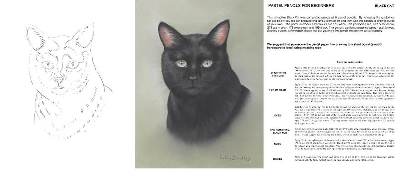 Black Cat Starter Pack - Etsy