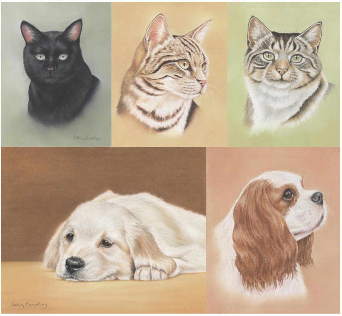 Pet Portraits Drawing Pack - Etsy