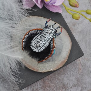 Cicada Insect Brooch Cicada Brooch Pin Bug Pin 60th - Etsy