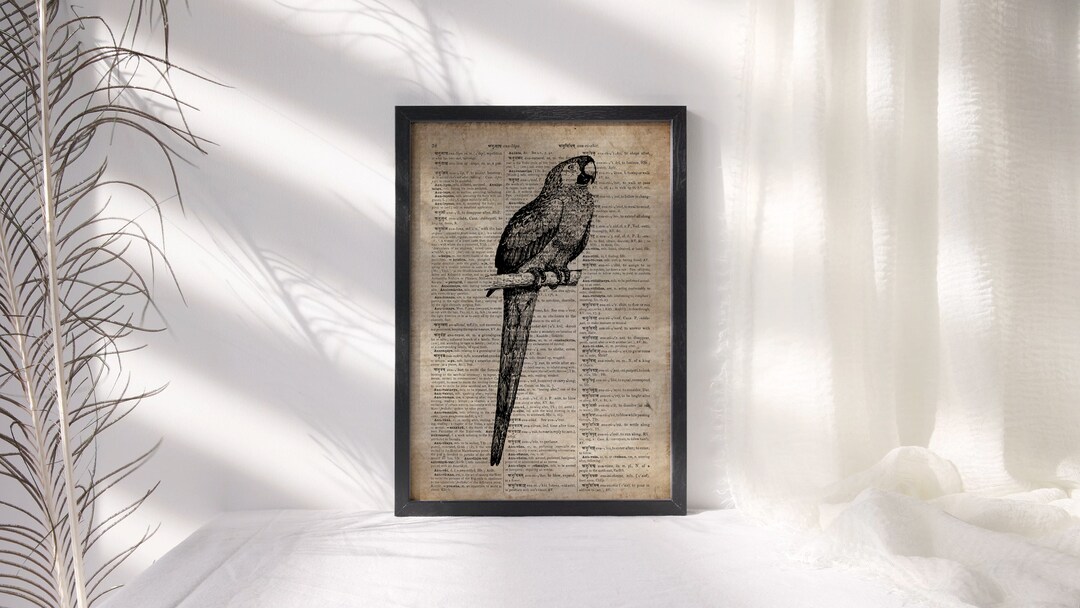 Parrot Bird Etching on Old Dictionary Paper Texture Print 07 - Etsy