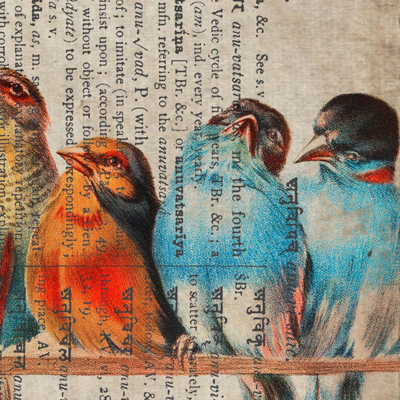 Birds in a Row on Old Dictionary Page Print | Etsy UK