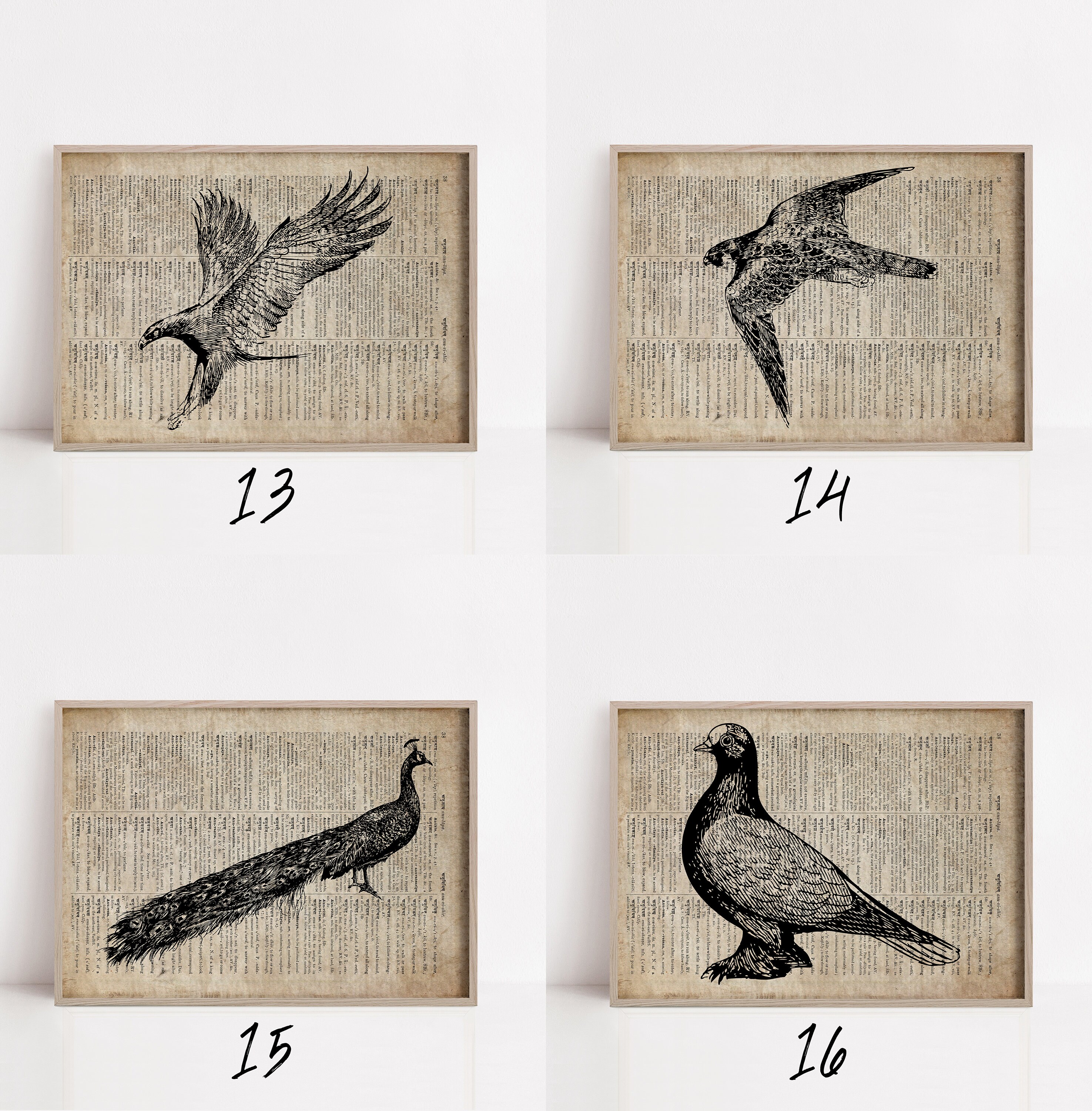 Bird Etching Print 04 on Old Dictionary Paper Texture | Etsy