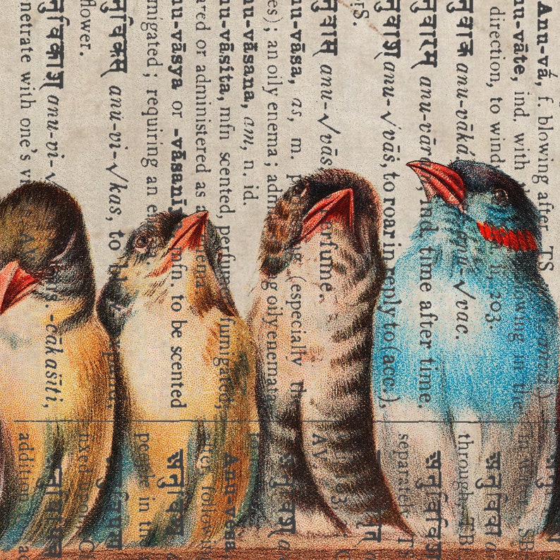 Birds in a Row on Old Dictionary Page Print | Etsy UK