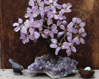 Tree of Life Bonsai - Etsy