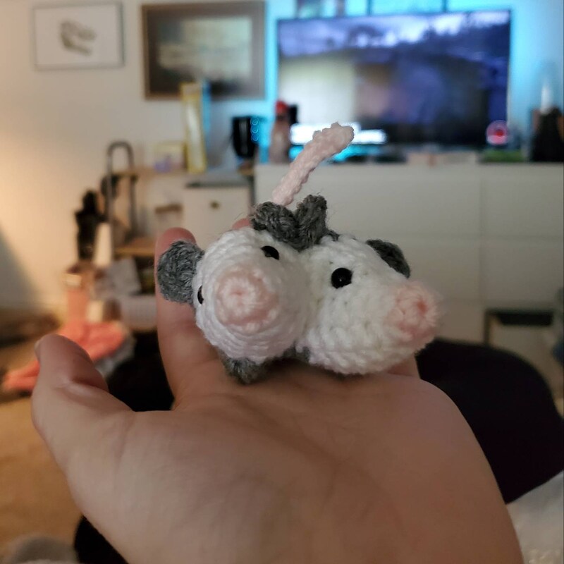 Two Headed Cat - Etsy