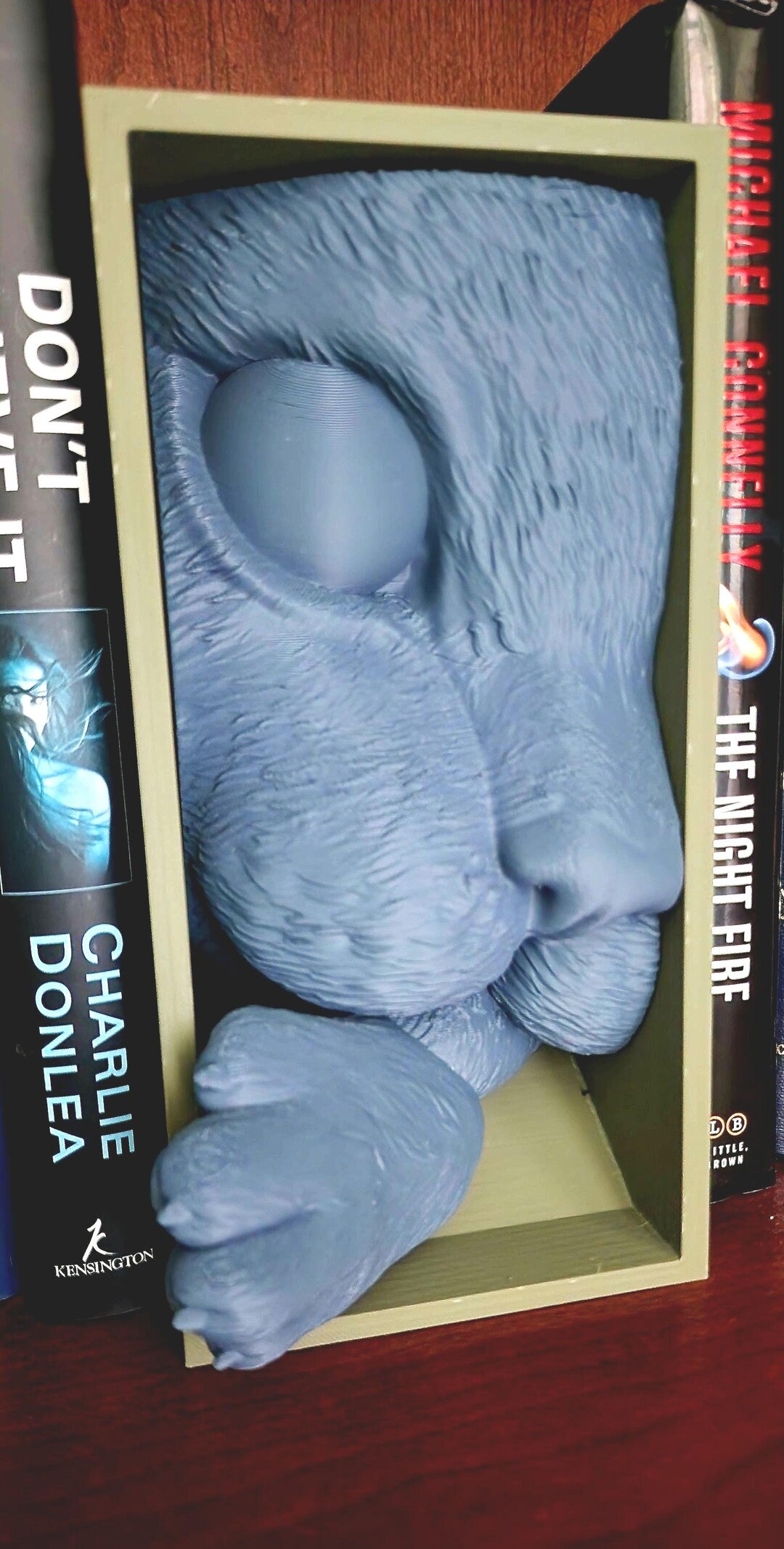 Curious Book Cat Book Nook 3d-printed - Etsy