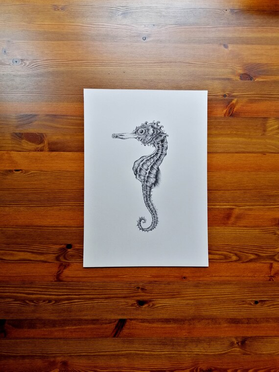 Beautiful Black and White Seahorse Biro Drawing Giclee Print | Etsy