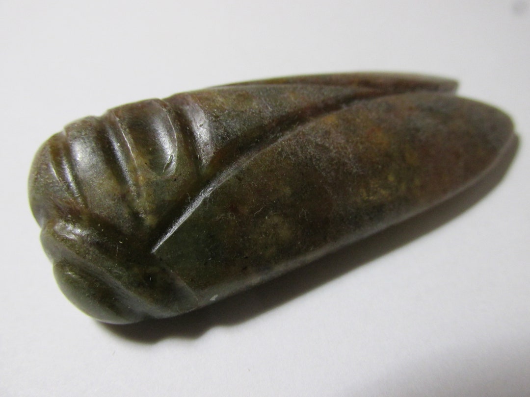 Carved Brown Jade Stone Cicada Collectible Pendnat, 2 1/2" - Etsy