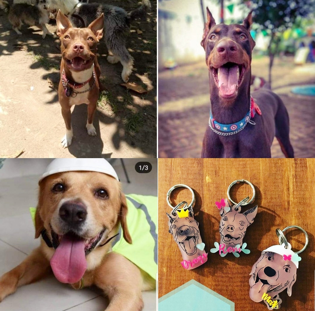 Personalized Dog Key Chains, Pet Key Chains, Frenchie Keychain, French ...