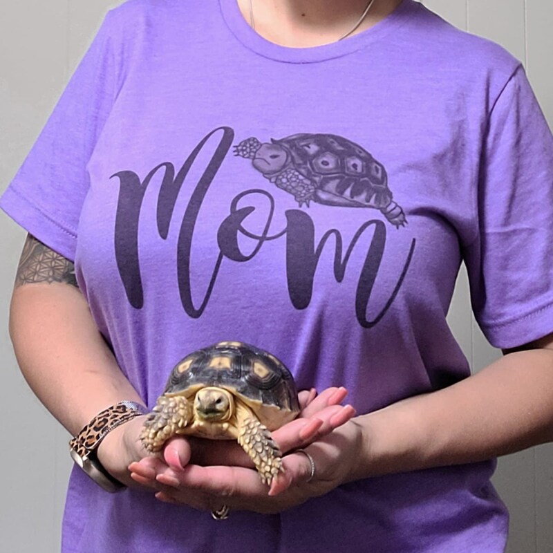 Clothing for Tortoises - Etsy