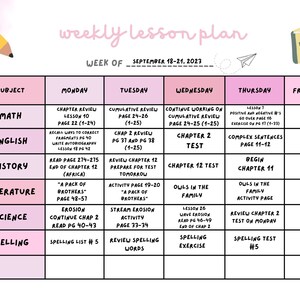 Editable Weekly Lesson Plan Template - Etsy